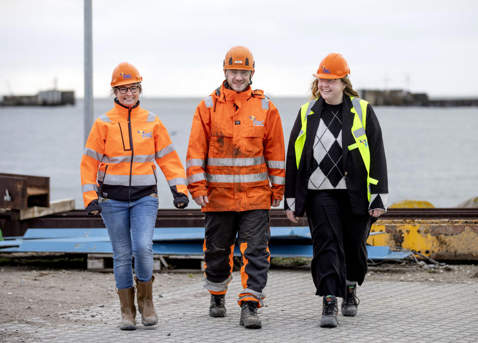 Sustainability Femern